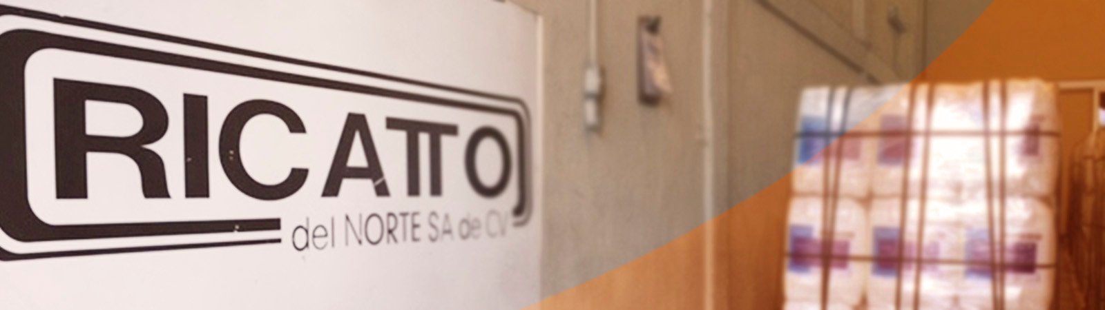 Catálogo de Servicios - Exportaciones - Ricatto